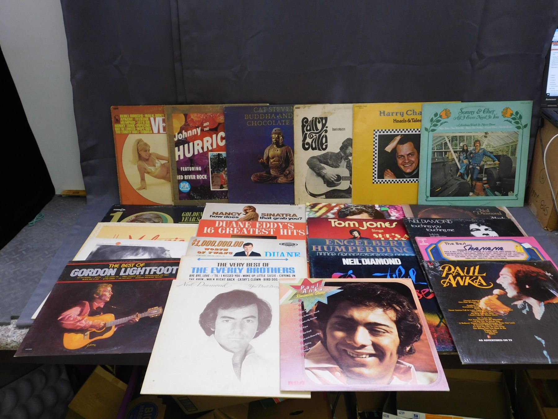 Lot of 24 Vinyl Records LPs Gordon Lightfoot, Tom Jones, Neil Diamond ...