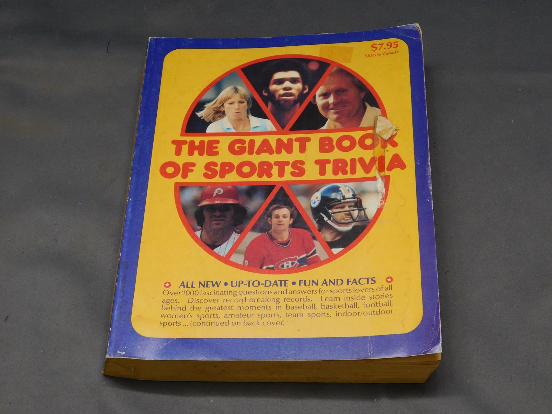 "The Giant Book of Sports Trivia" by Damien Christopher 1981