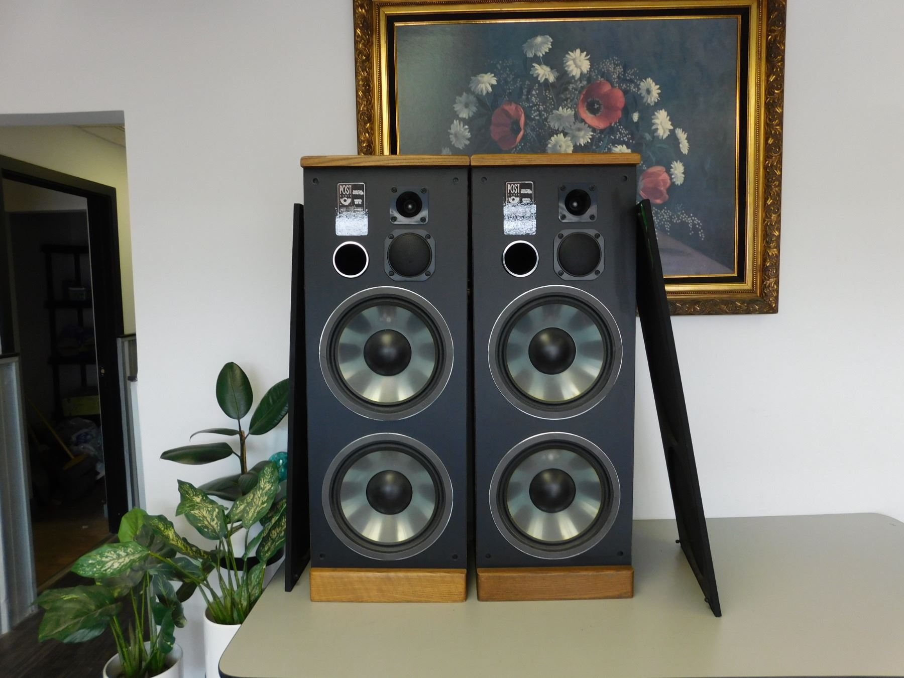 Post-Audio DM16 Tower Floor Speakers