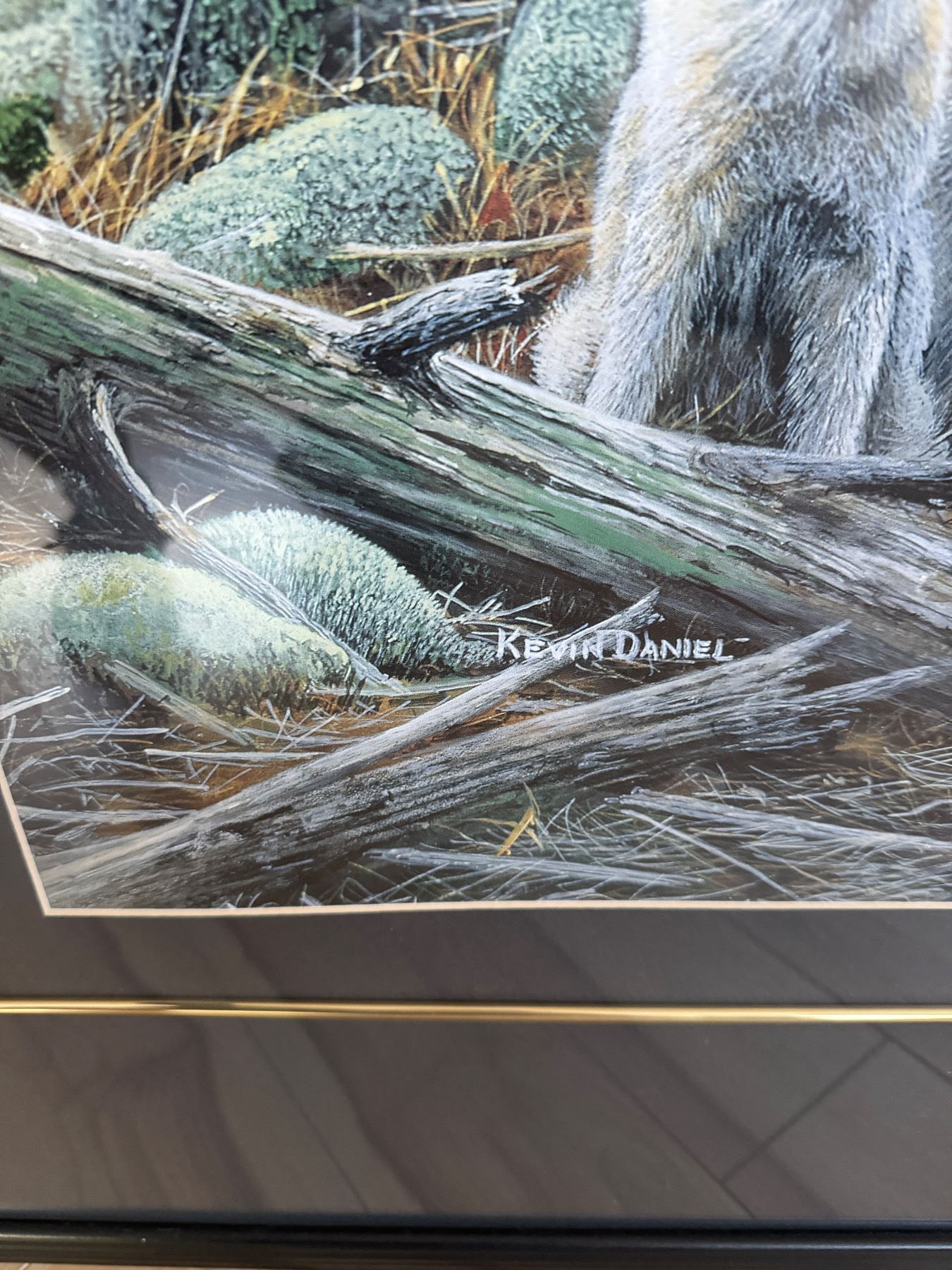 Kevin Daniel wall hanging 44x33