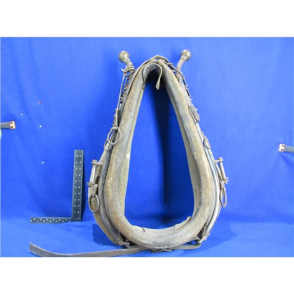 Vintage Horse Collar and Hames with Brass Knobs