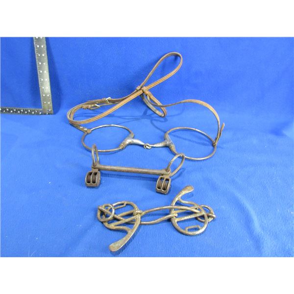 Vintage Headstall and Bits