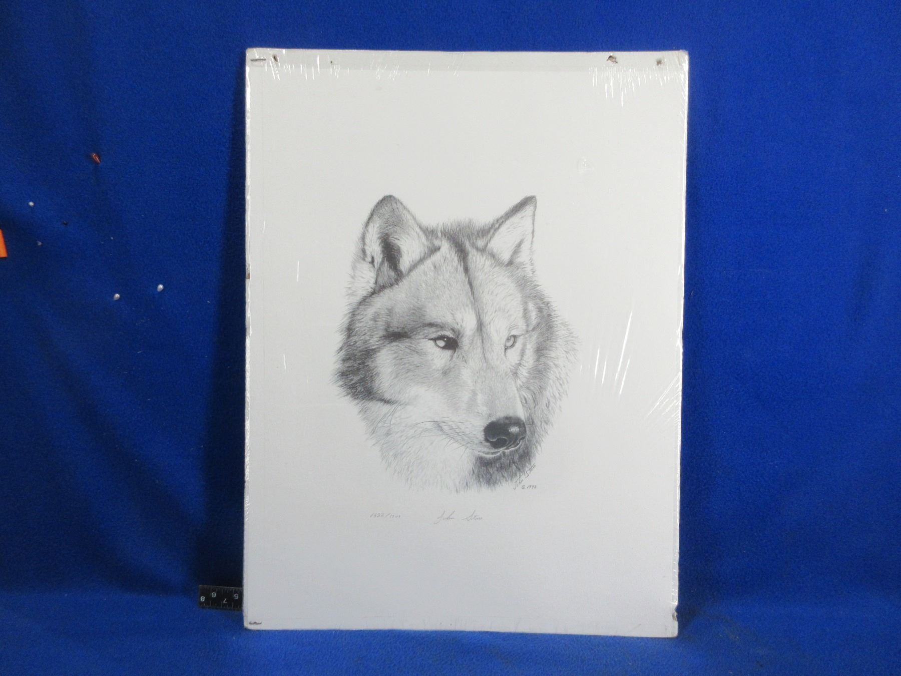 John Stone Pencil Sketch - "Timber Wolf - 1622/1700