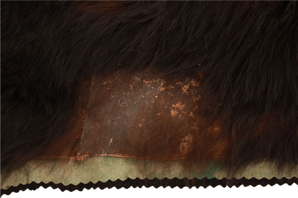 Montana Trophy Taxidermy Black Bear Felted Rug