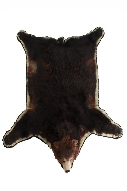 Montana Trophy Taxidermy Black Bear Felted Rug