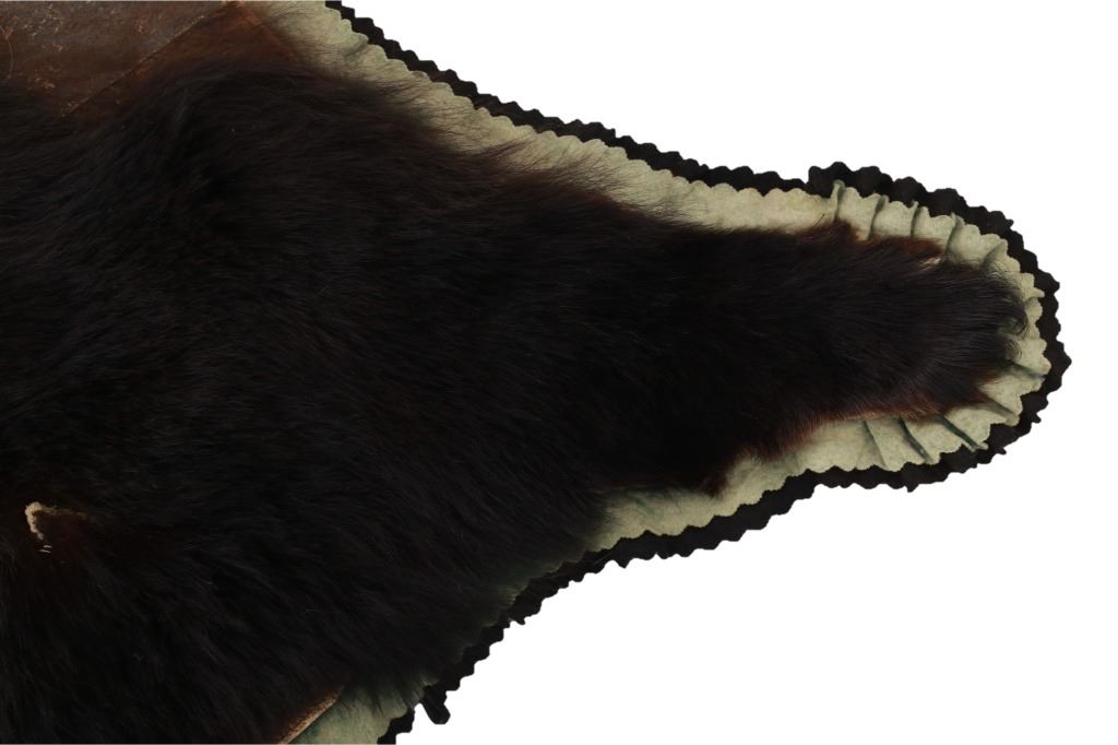 Montana Trophy Taxidermy Black Bear Felted Rug