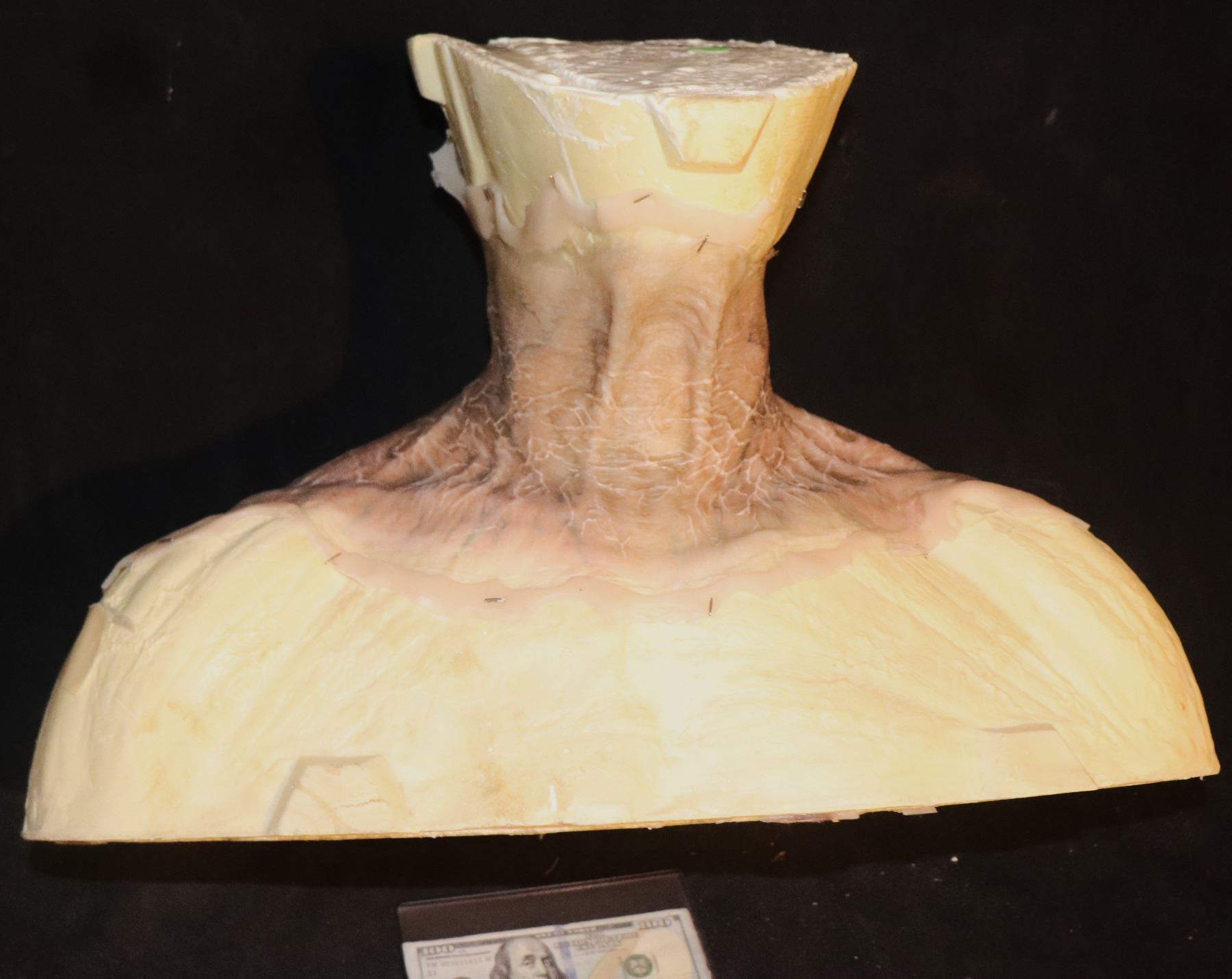 ZZ ARMY OF THE DEAD ZEUS ZOMBIE NECK APPLIANCE ON BUST