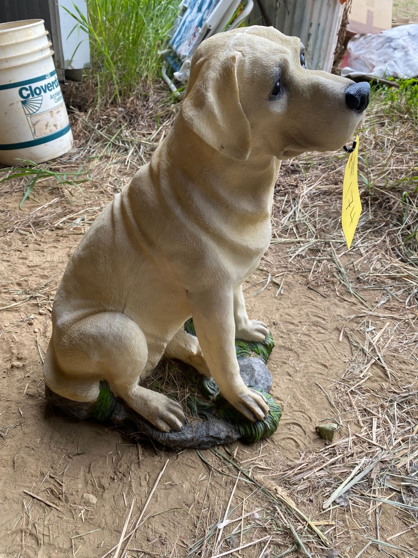Golden lab solid statue