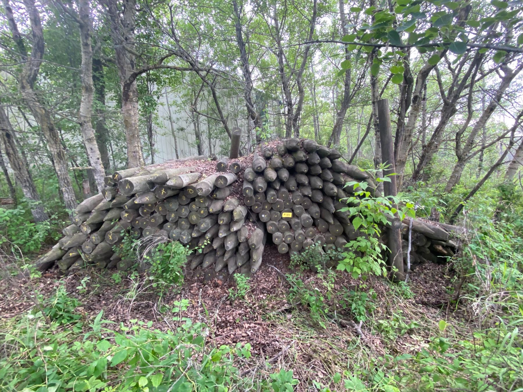 Approx. 250-275 (no guarantee on count)- 4 to 5 inch, 8 ft sharpened ...