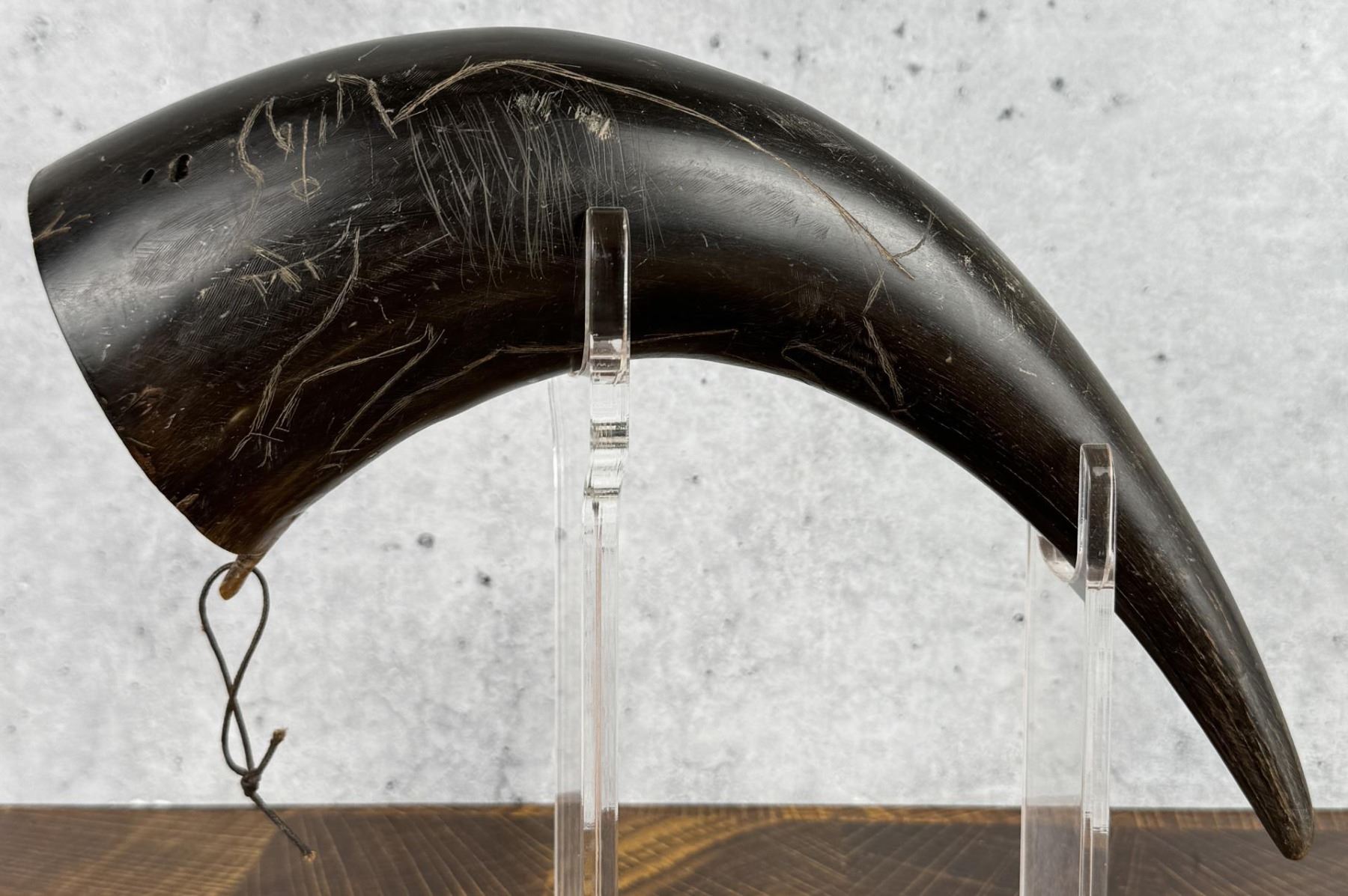 Antique Native American Indian Buffalo Horn