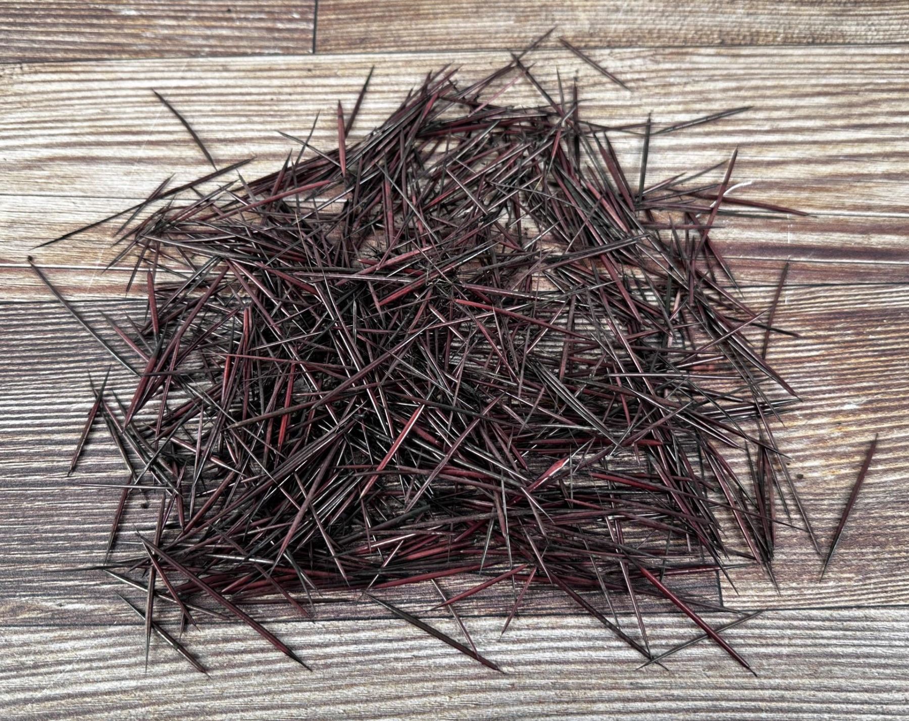 Montana Maroon Dyed Porcupine Quills Native Crafts