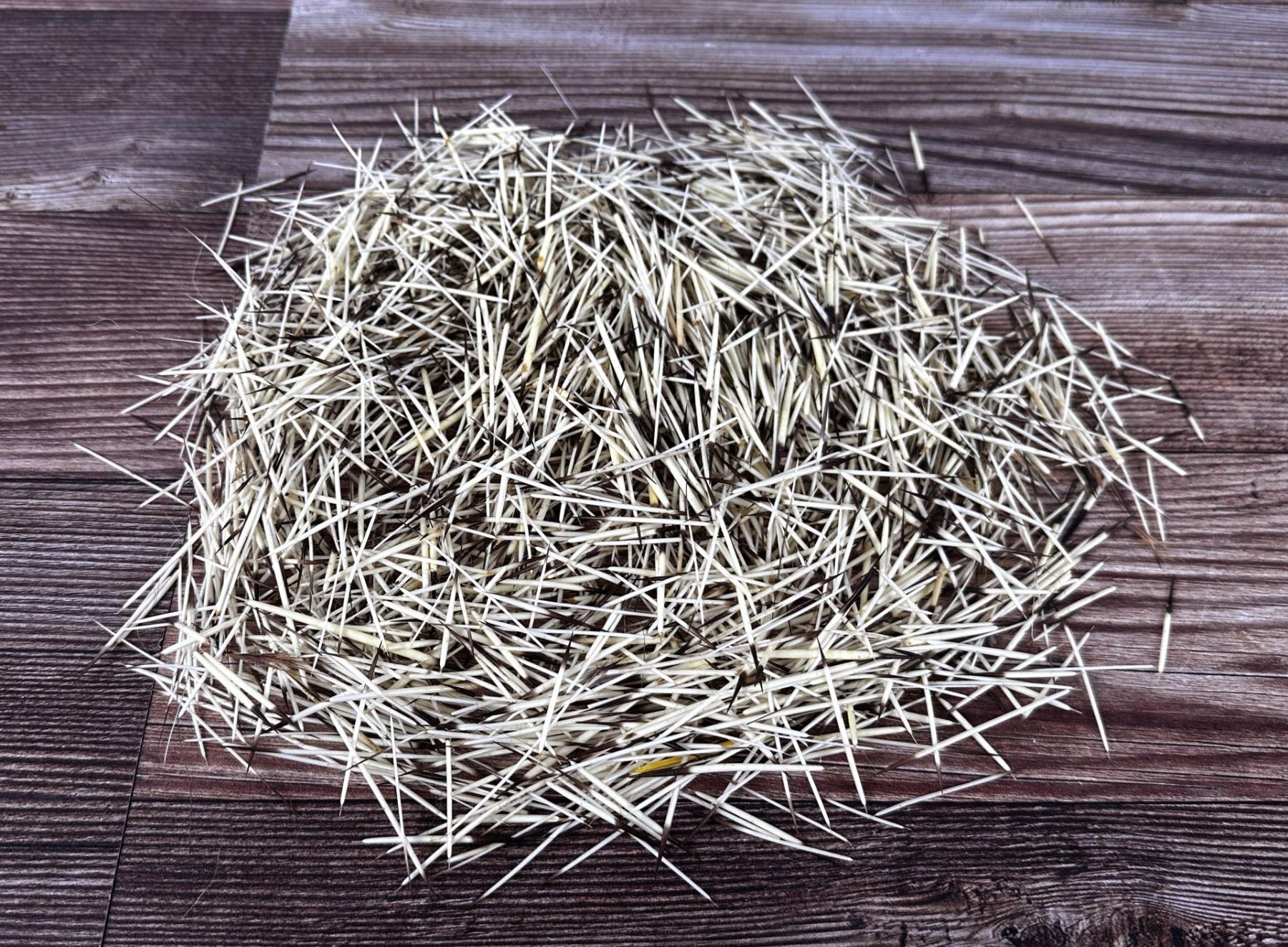 Montana Porcupine Quills Native Crafts