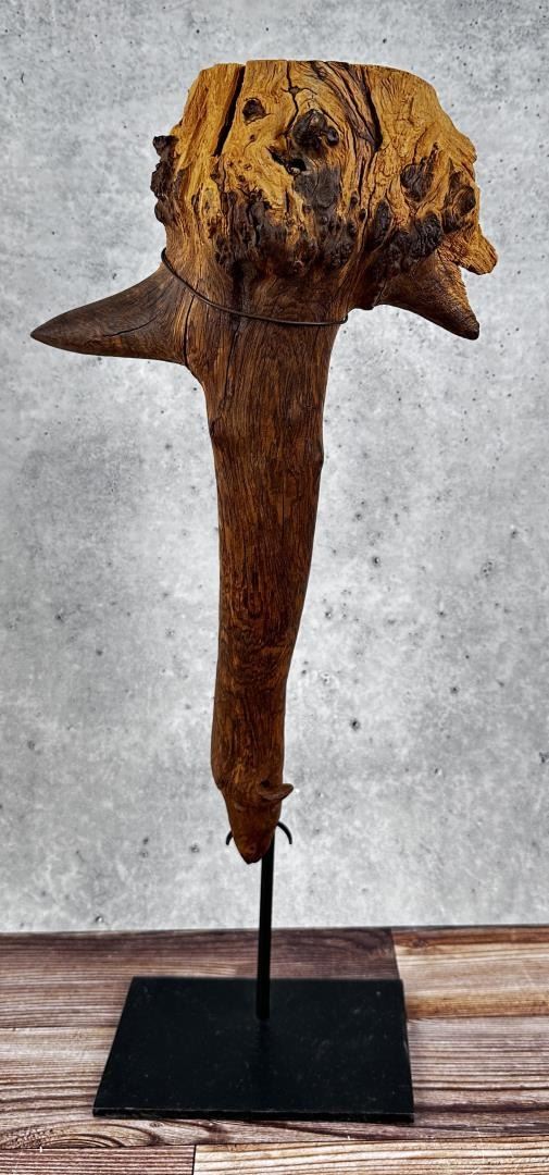 Penobscot Native American Indian Root War Club