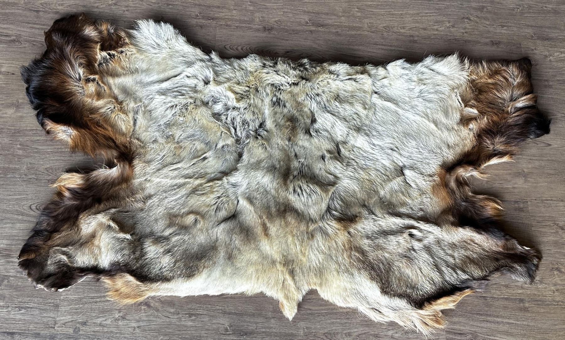 Montana Taxidermy Elk Hide