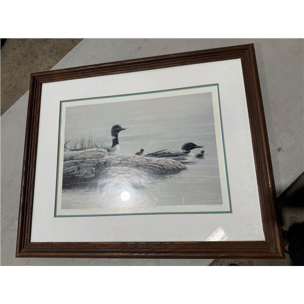 Loons numbered print