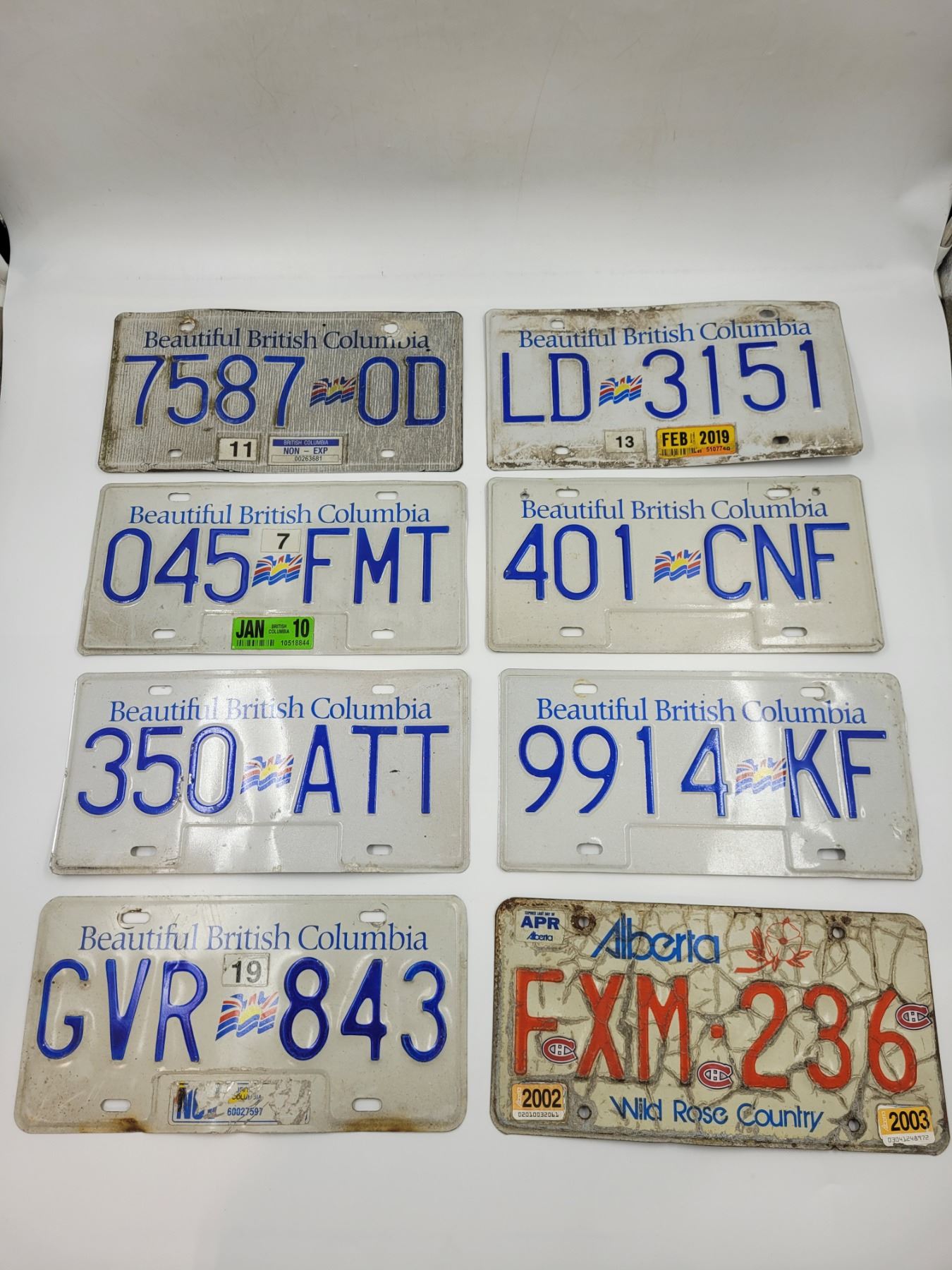 British Columbia and Alberta License Plate Lot