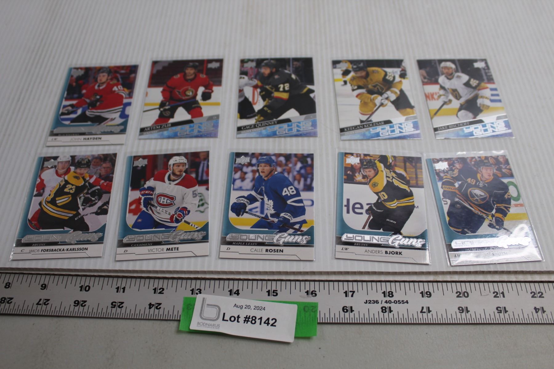 (10) Young Guns Rookie Hockey Cards - Bodnarus Auctioneering