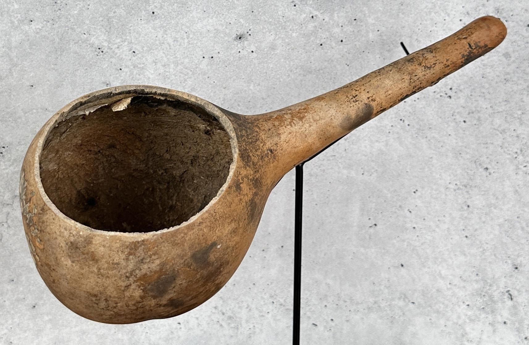 African Gourd Water Scoop