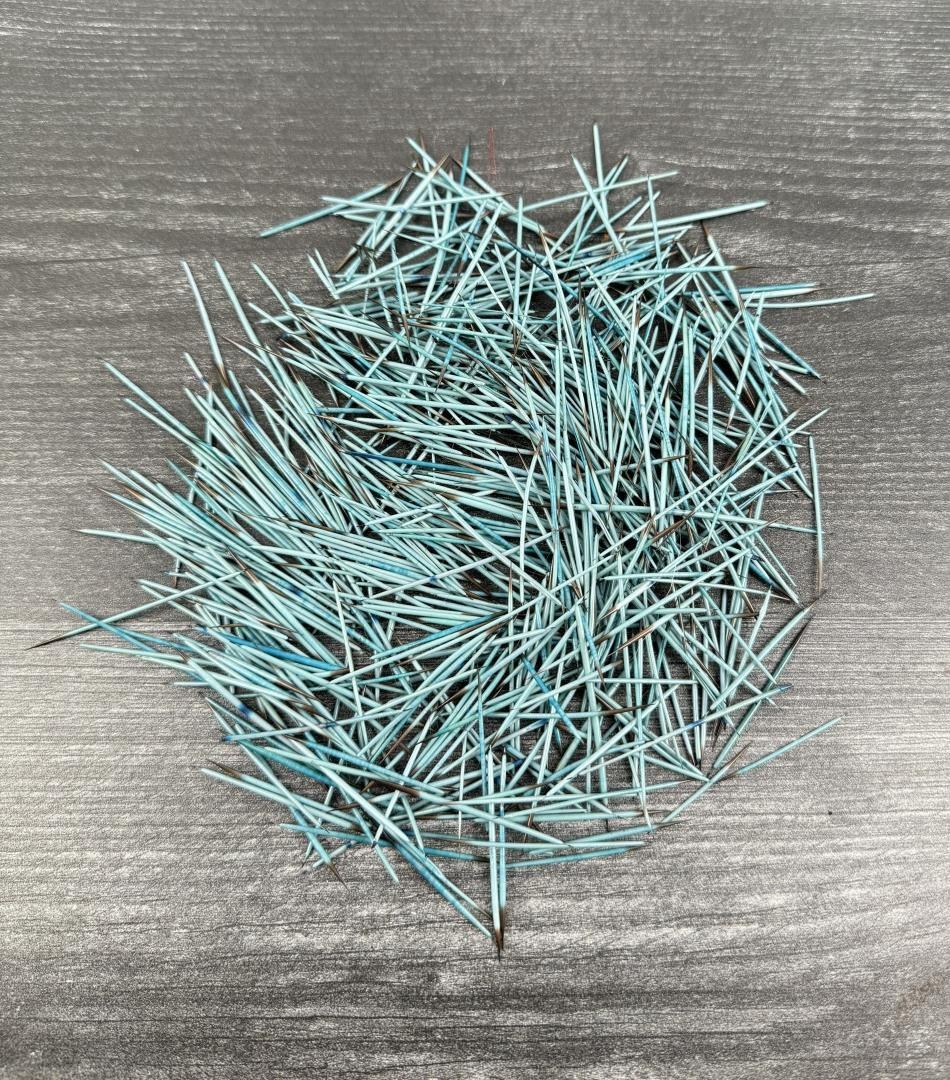 Montana Porcupine Quills Native Crafts
