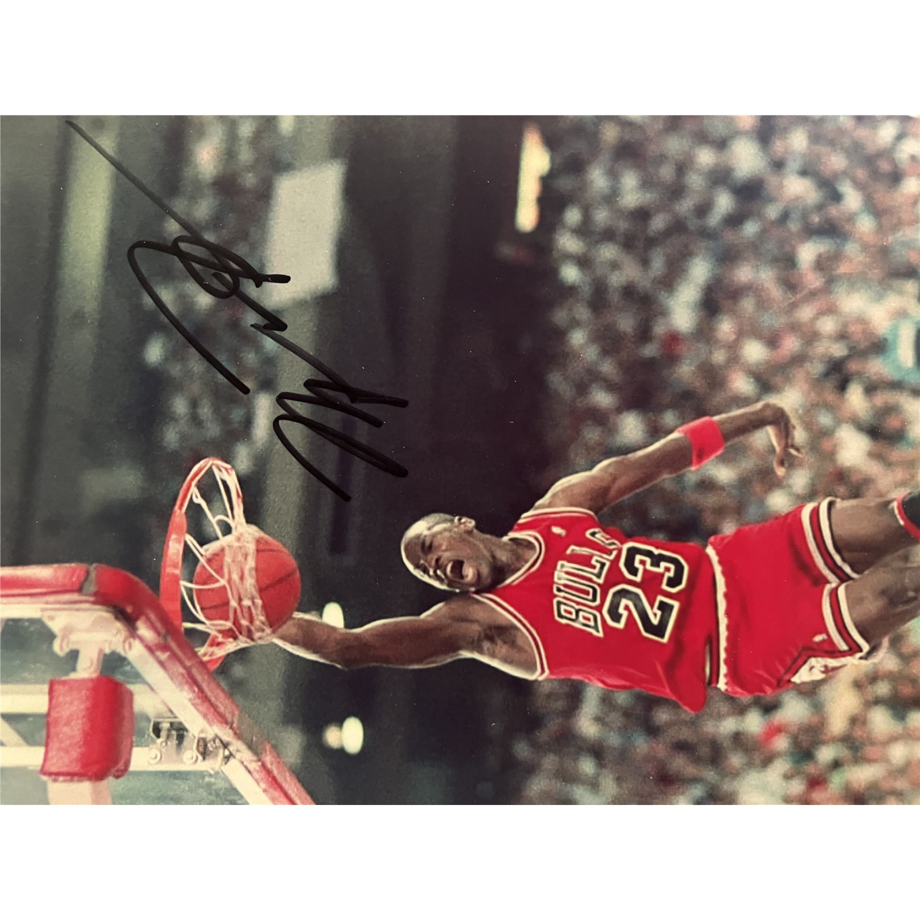 Chicago Bulls Michael Jordan signed photo
