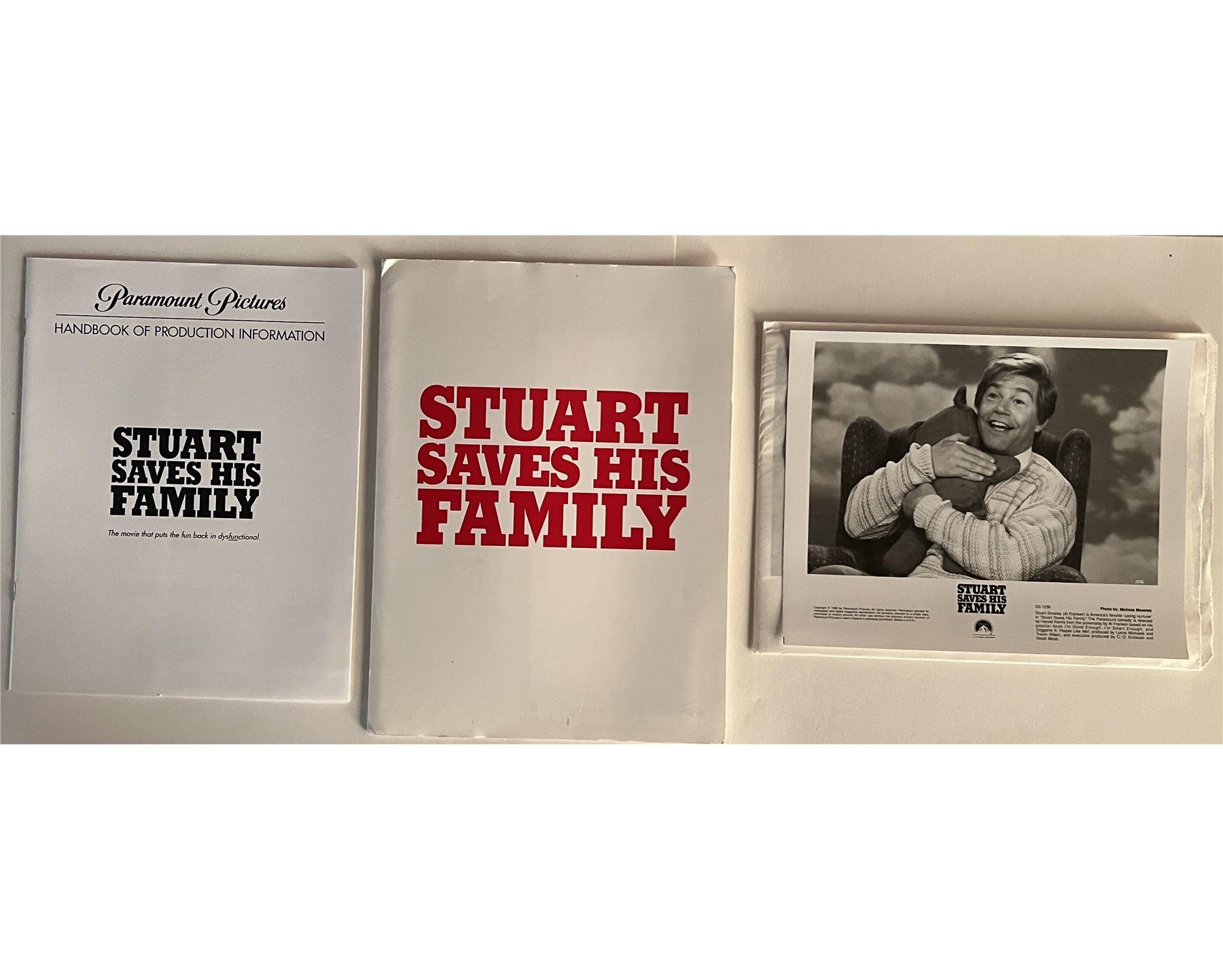 Stuart Saves His Family press kit