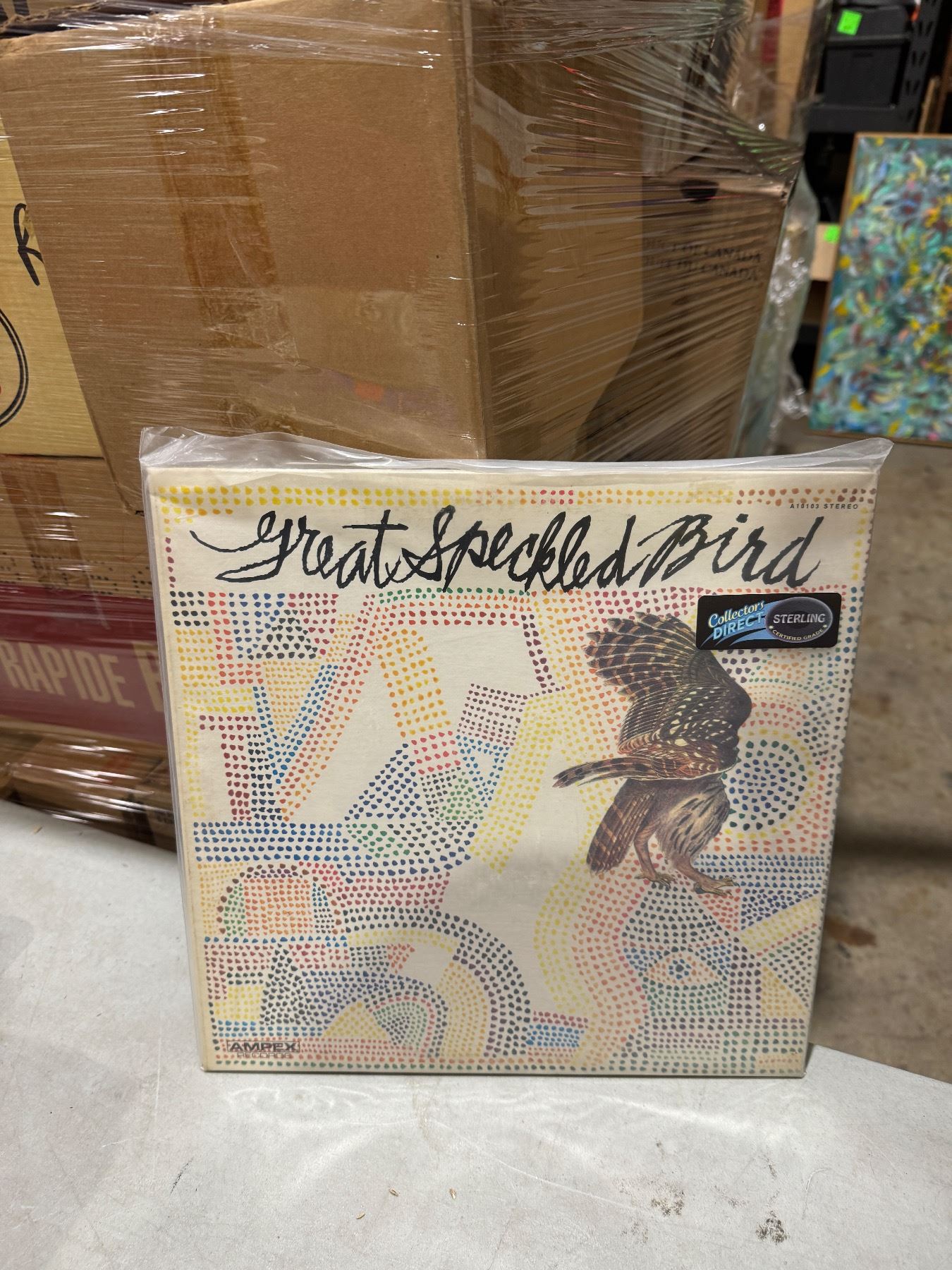 Great speckled bird record