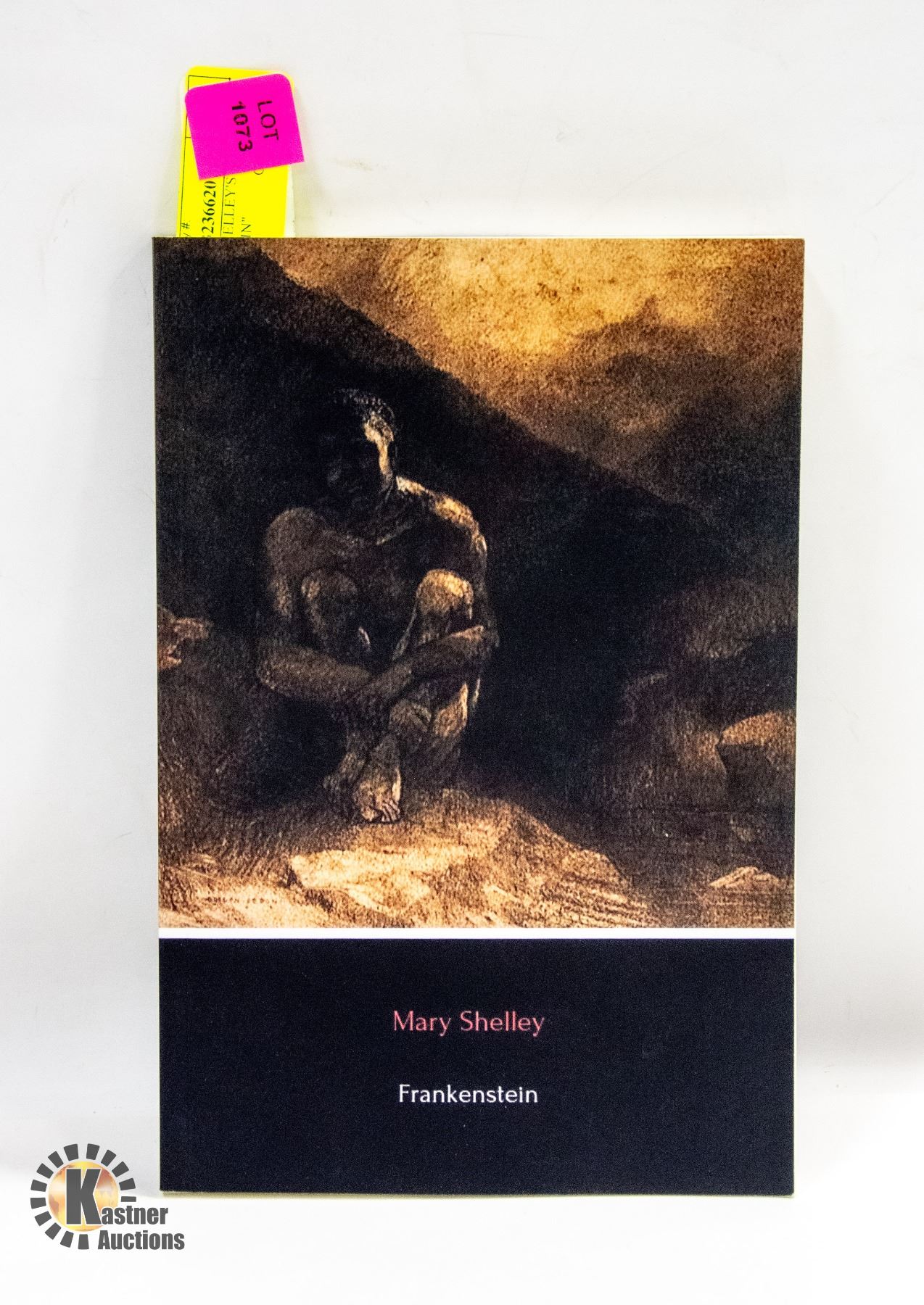 NEW MARK SHELLEY'S "FRANKENSTEIN"