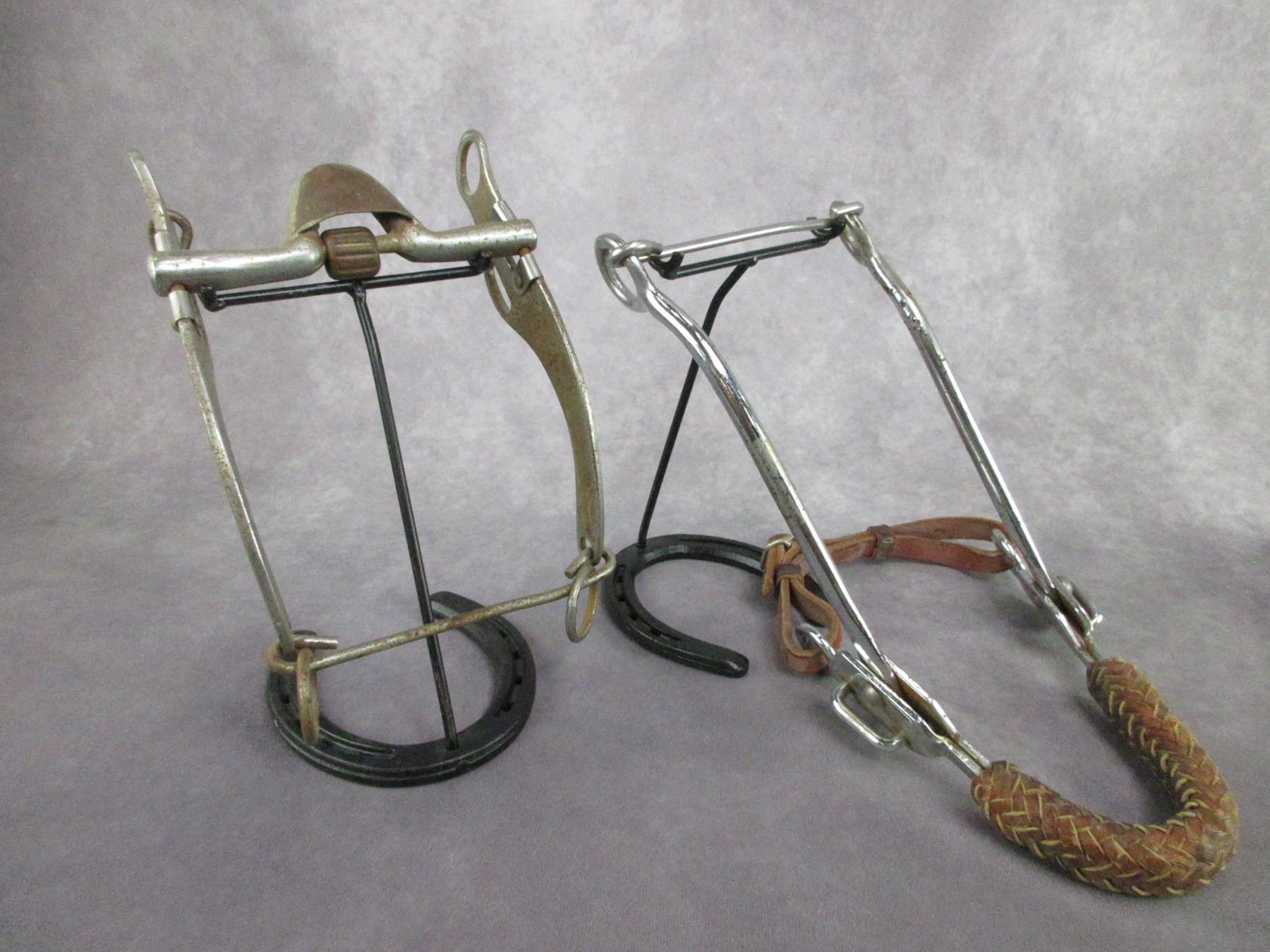 Unmarked Mona Lisa Bit And Mechanical Hackamore