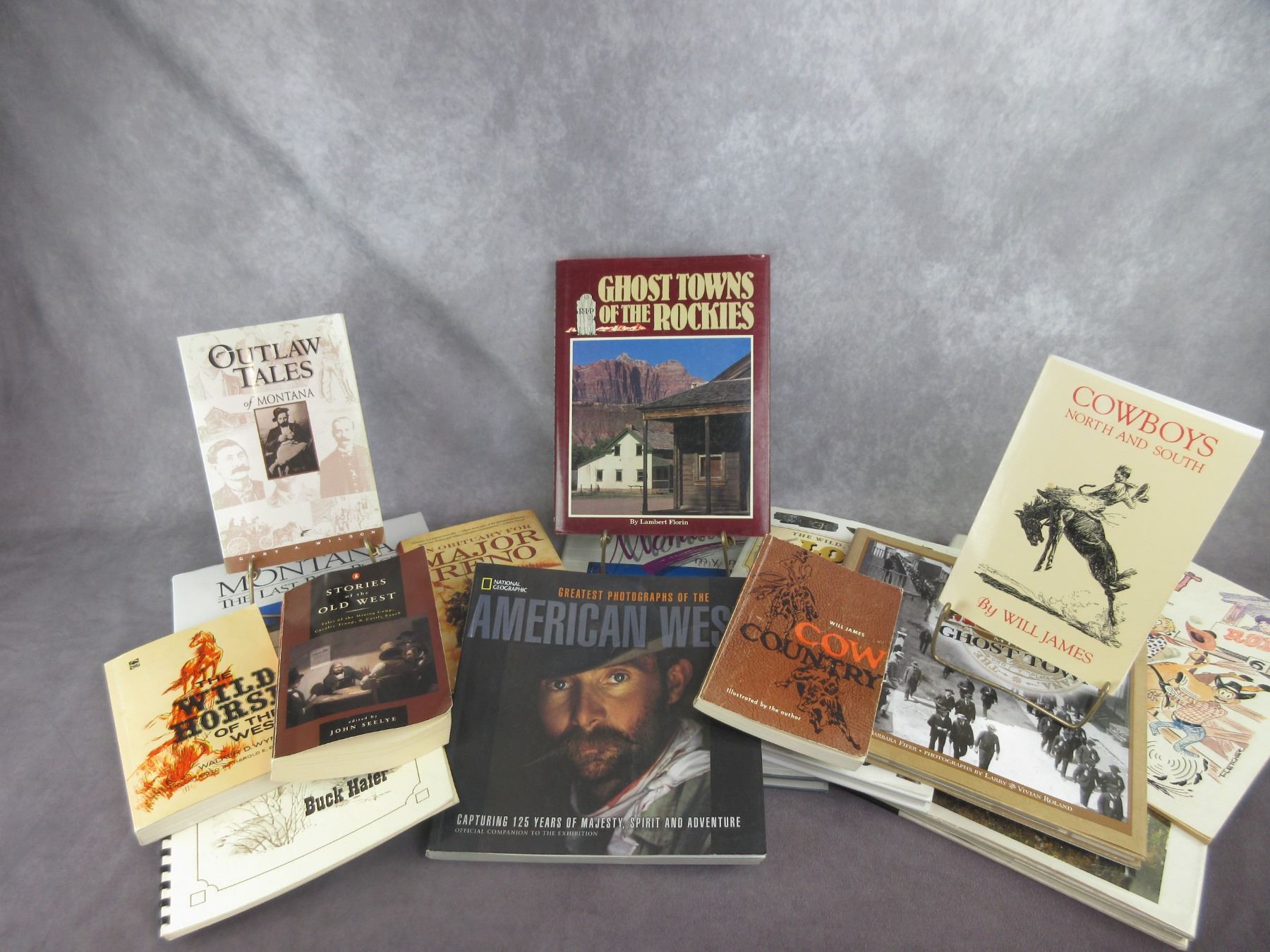 13 Western Books