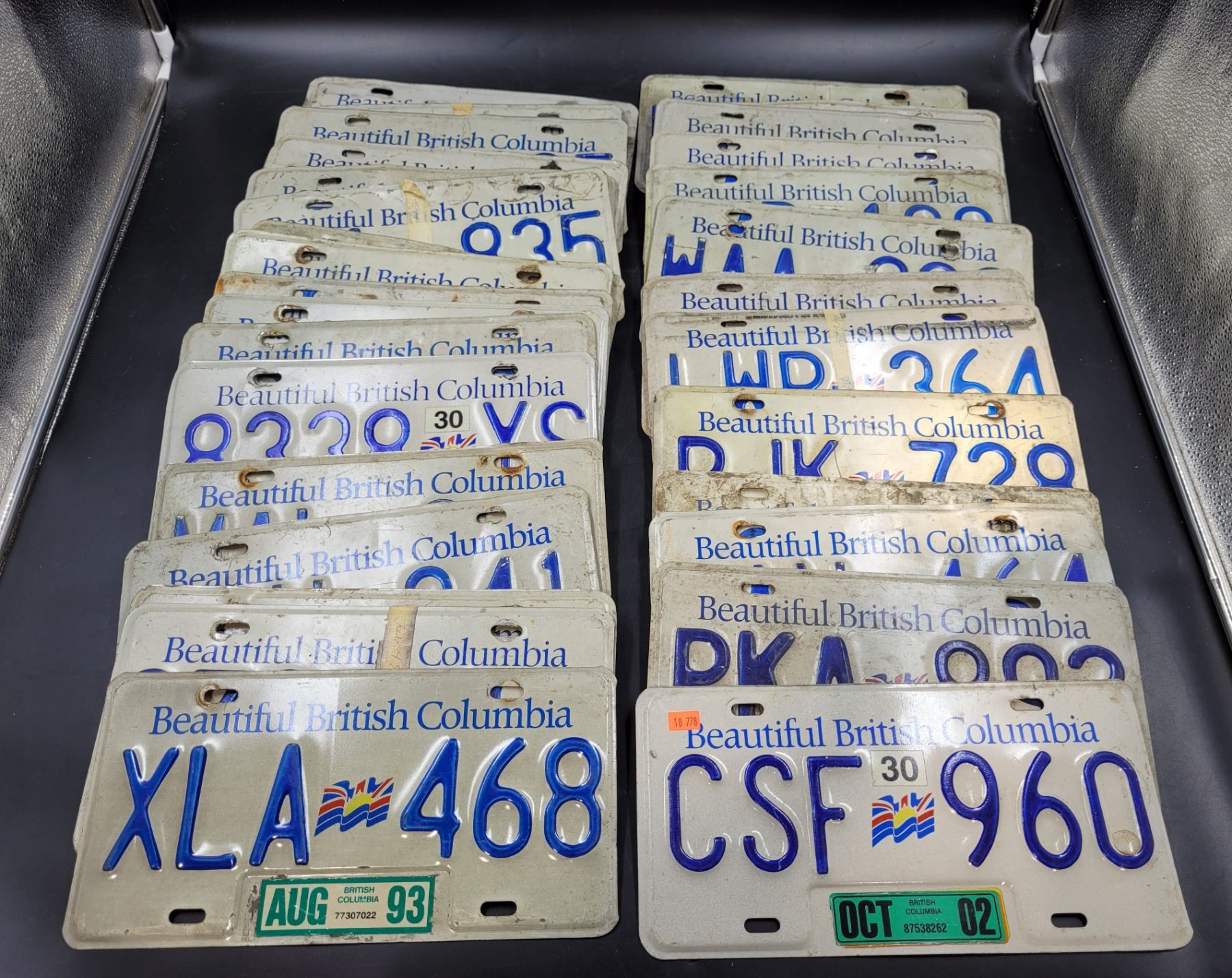 Large Vintage British Columbia License Plate Lot
