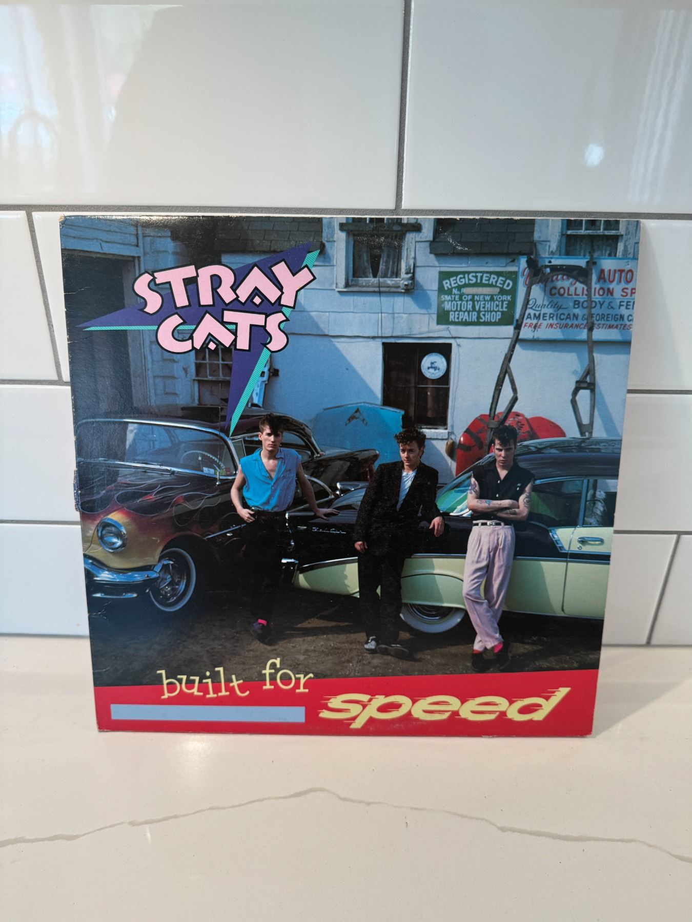Stray cats built for speed record