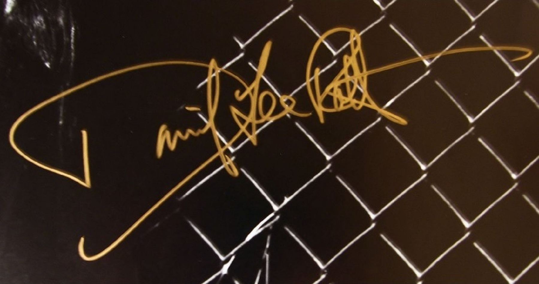 David Lee Roth signed album insert