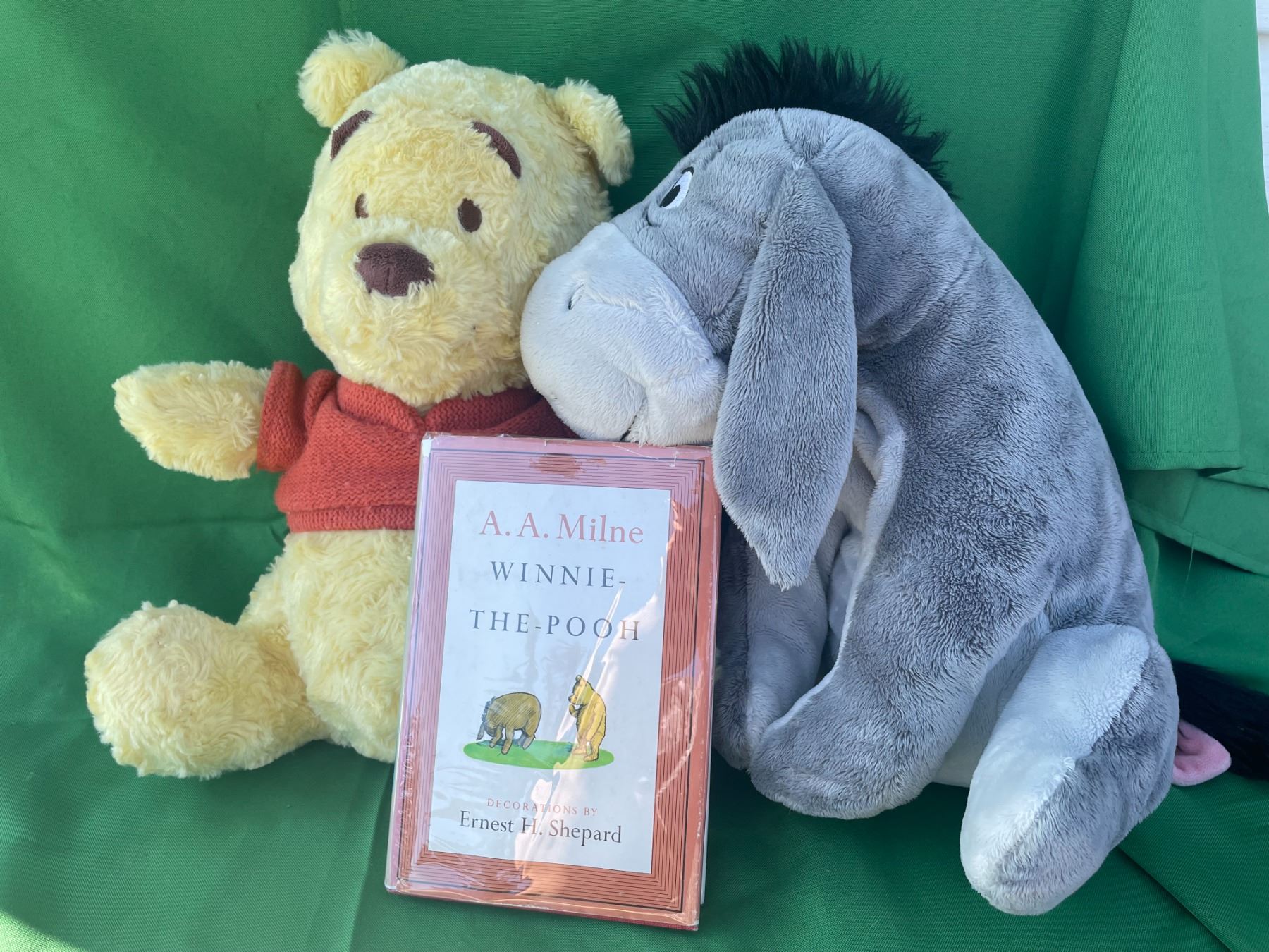 Winnie the Pooh - Book with plush Winnie the Pooh and Eeyore