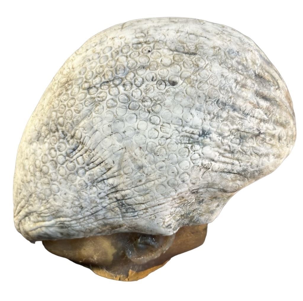 The Day the Earth Stood Still (2008) - Klaatu (Keanu Reeves ...