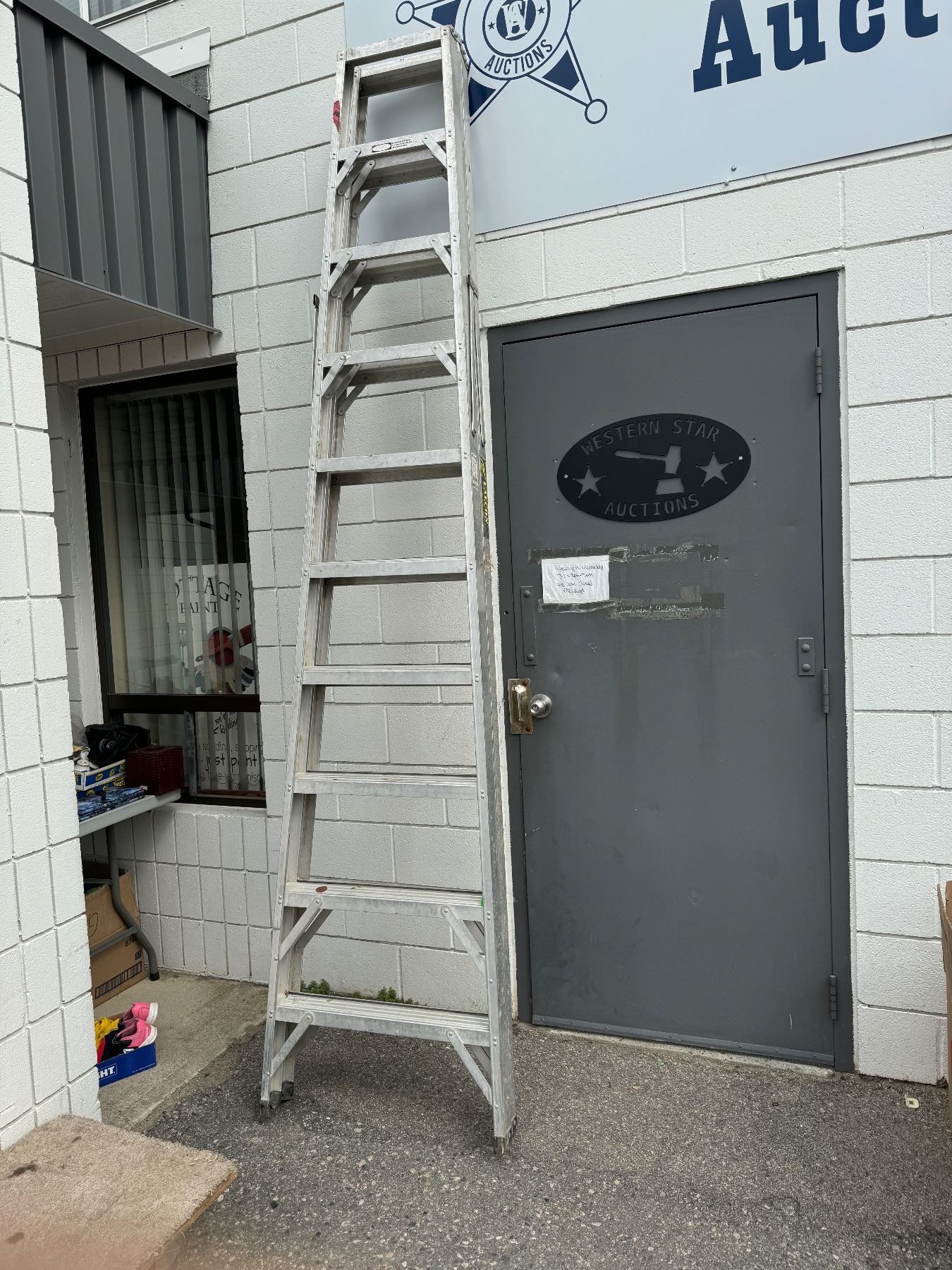 Falcon ladder