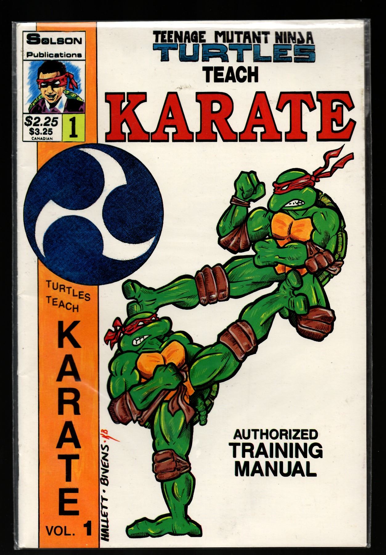 Solson Publications Tenage Mutant Ninja Turtles Teach Karate #1 (1987)