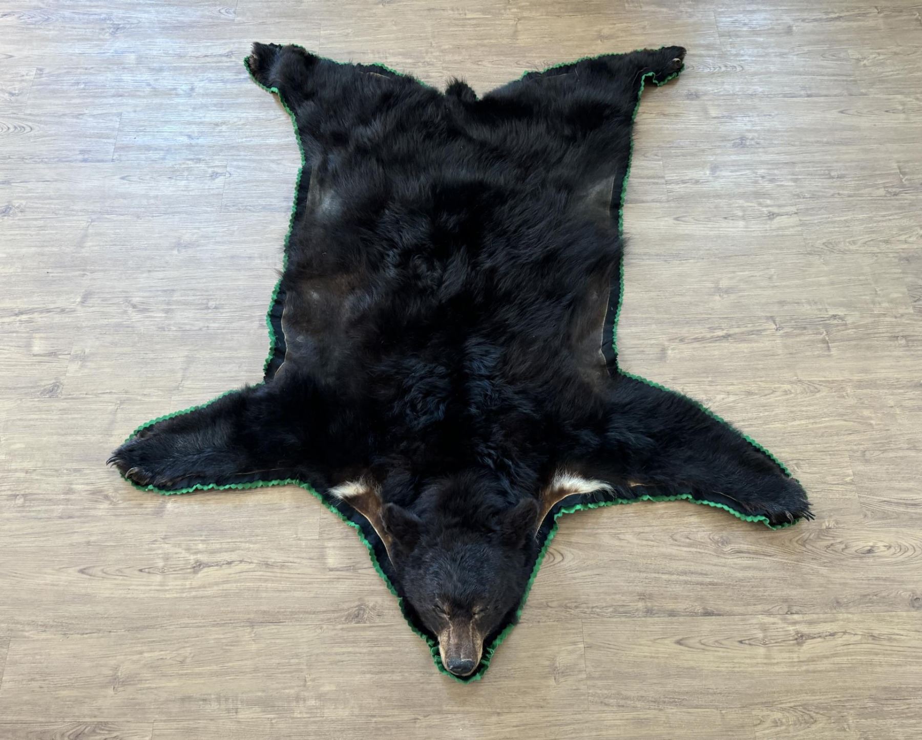 Montana Taxidermy Black Bear Rug