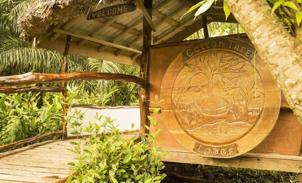 Belize Jungle Adventure