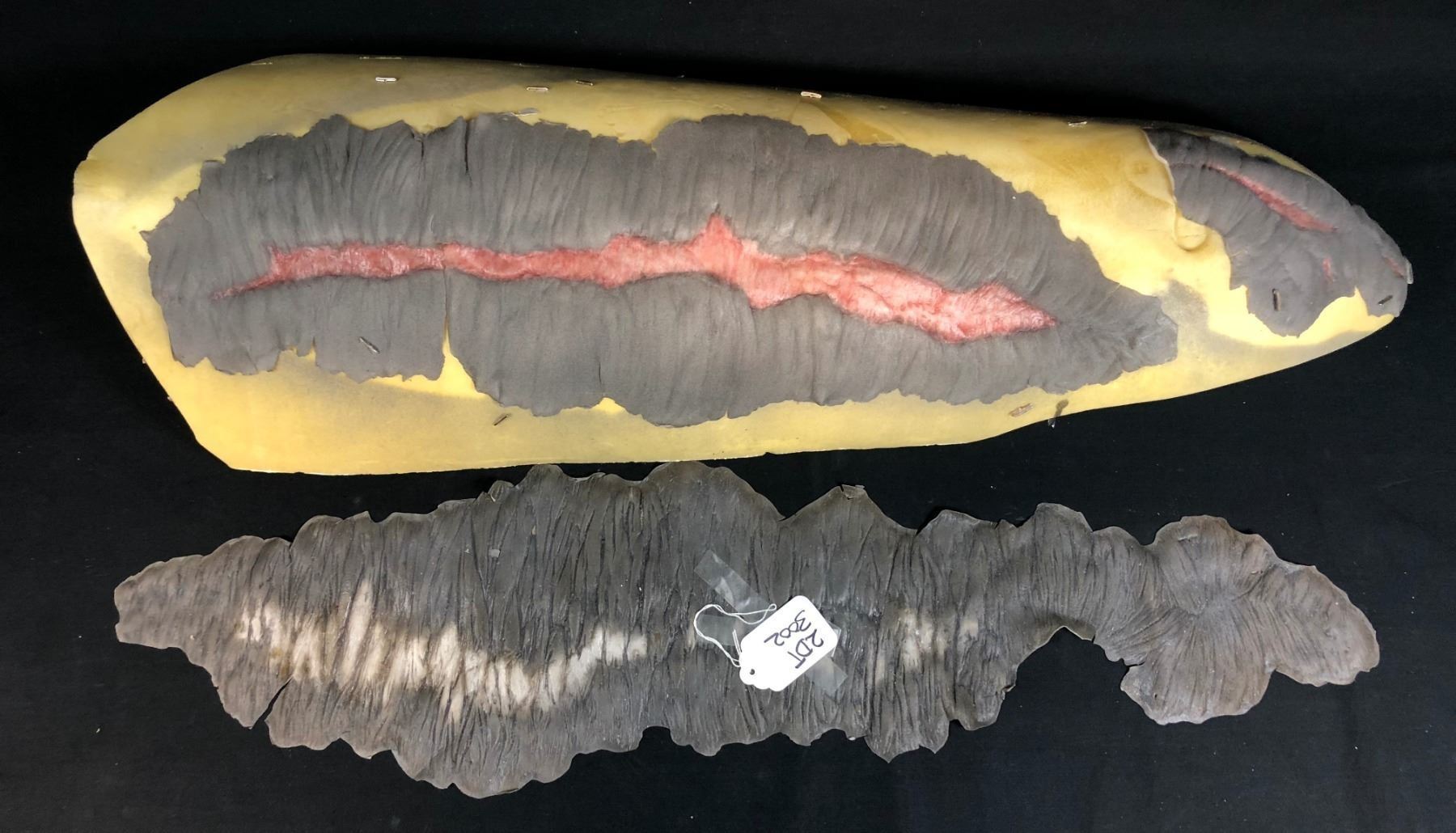 Dolphin Tale 2 (2014) - Hope's Special Effects Burn Prosthetic (3 Pieces)