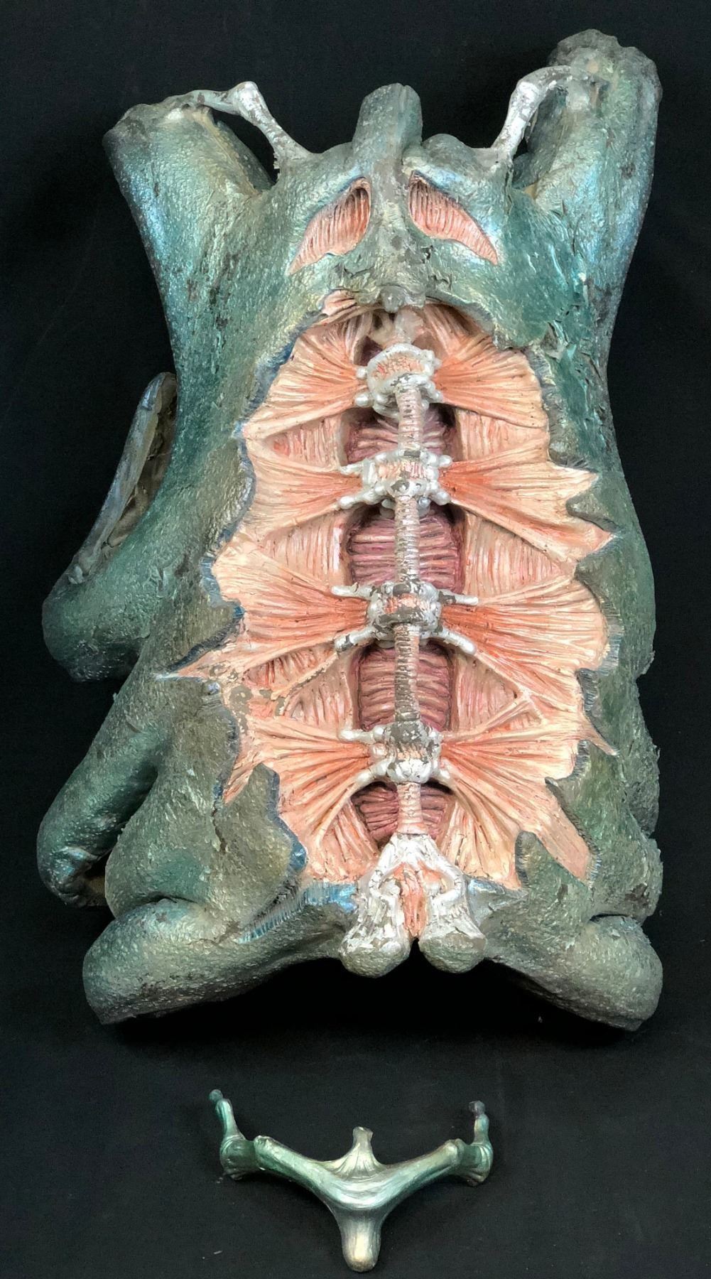 Stargate SG-1 (1997–2007) - Large Head & Chest Alien With Tentacles