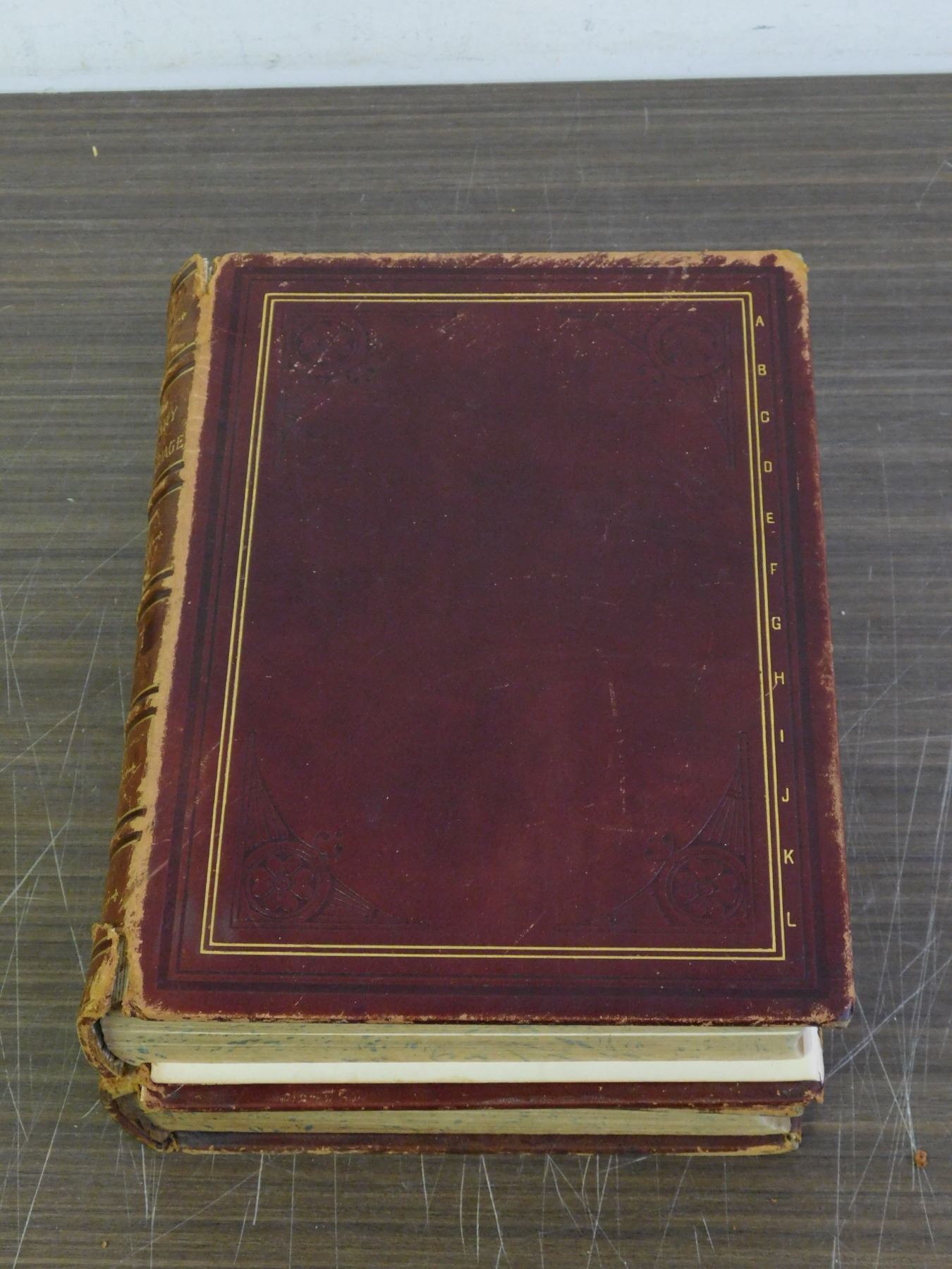 Antique Standard Dictionary Book 1895
