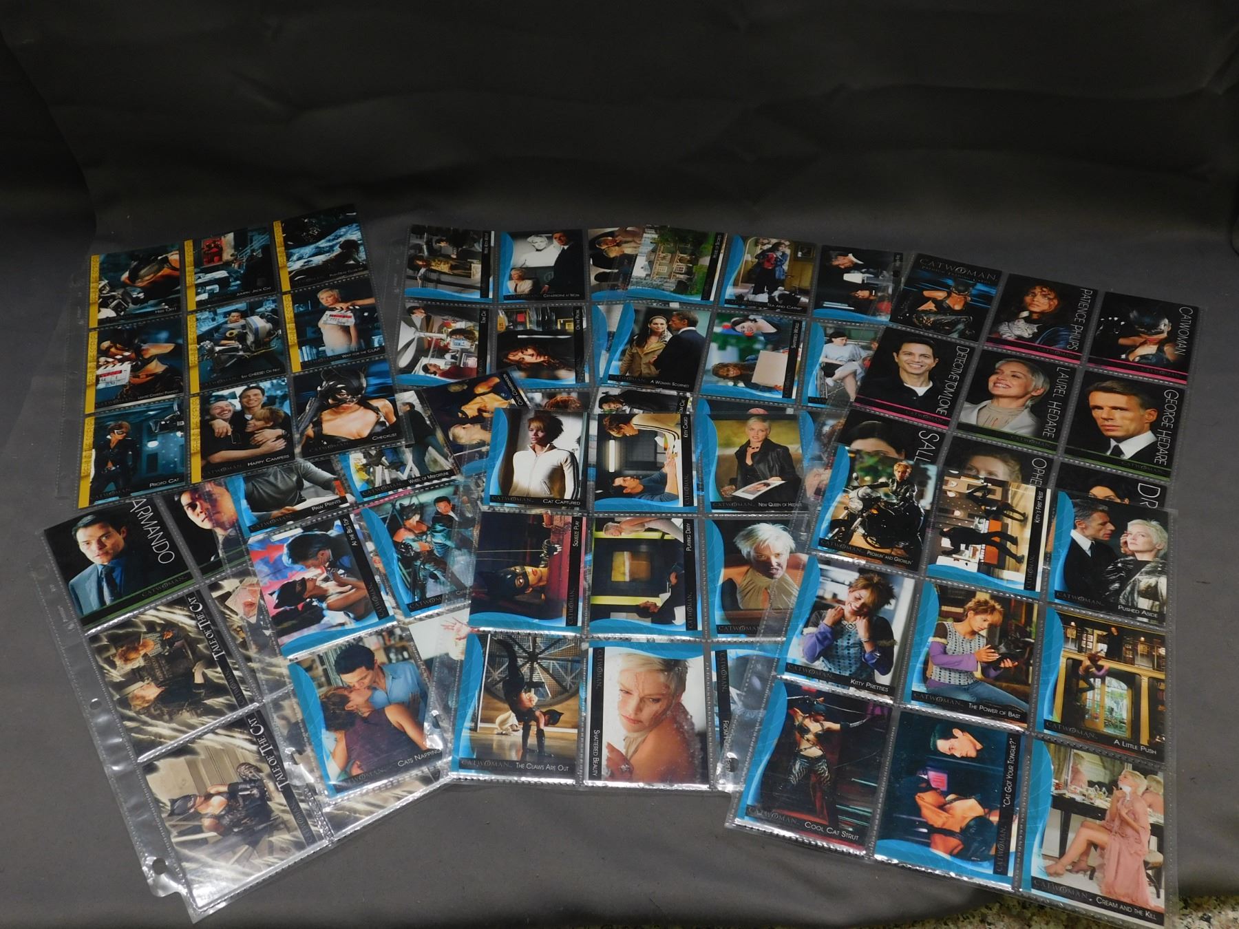 Lot of Catwoman with Halle Berry 2004 Collectible Cards