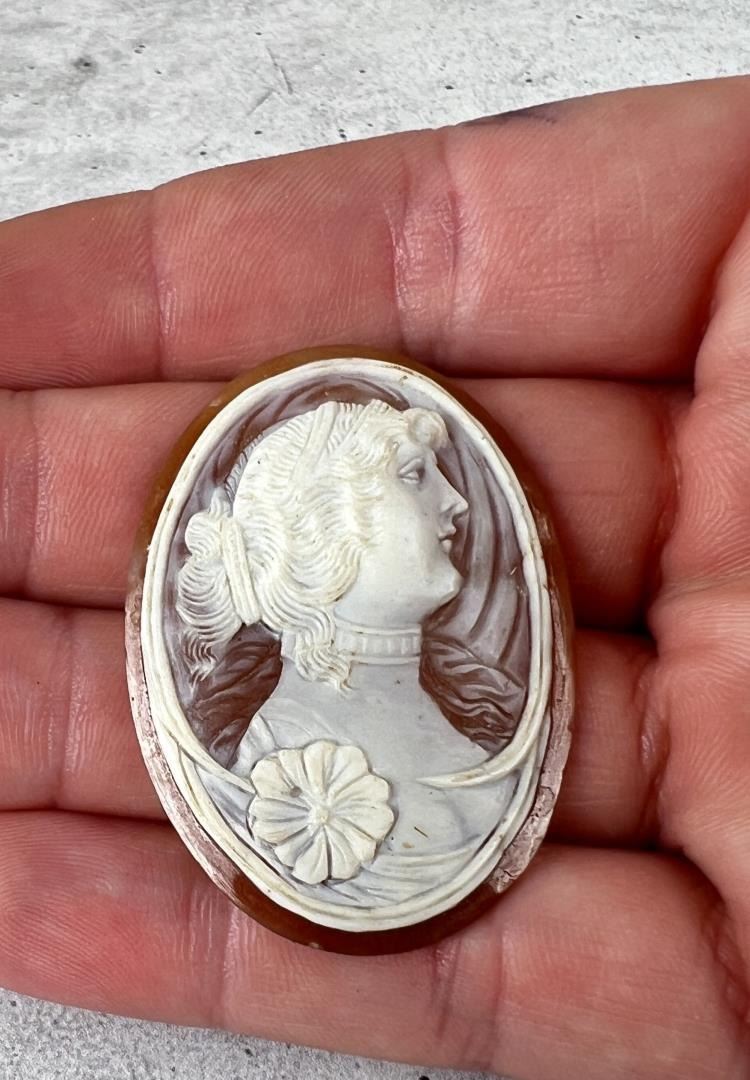 Victorian Carved Shell Cameo Artist Signed