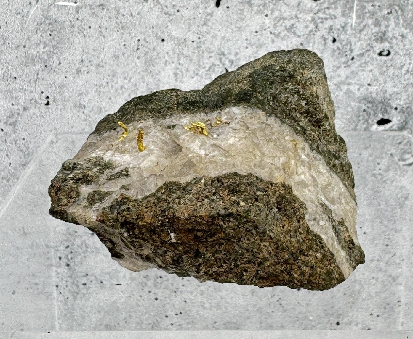 Wire Gold on Quartz Virginia City Montana Specimen