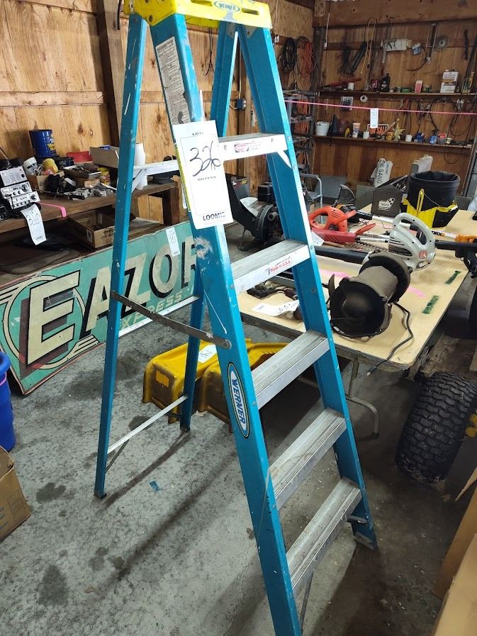 Warner fiberglass 6 ft step ladder