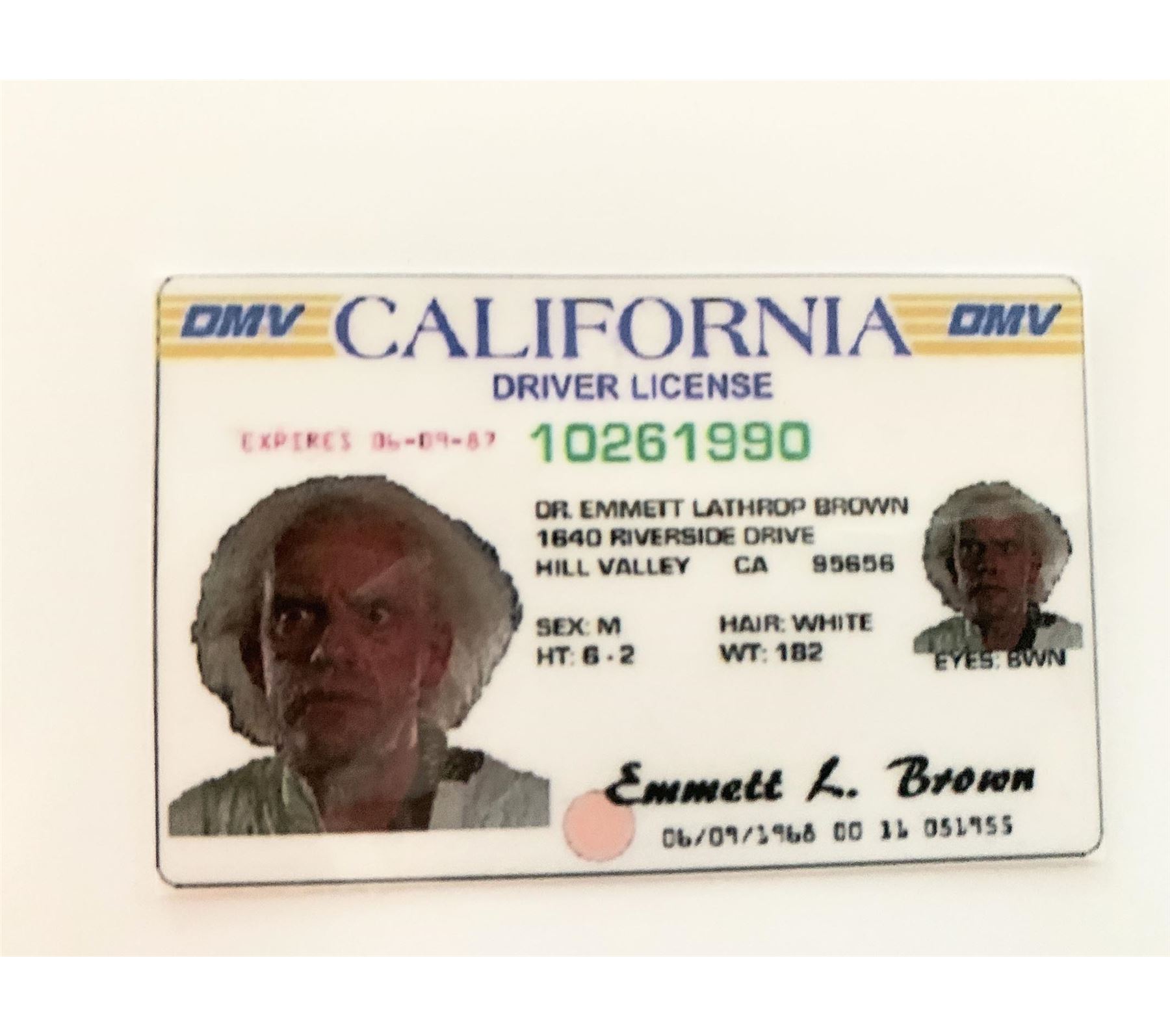 Back to the Future Emmett Brown CA Driver License