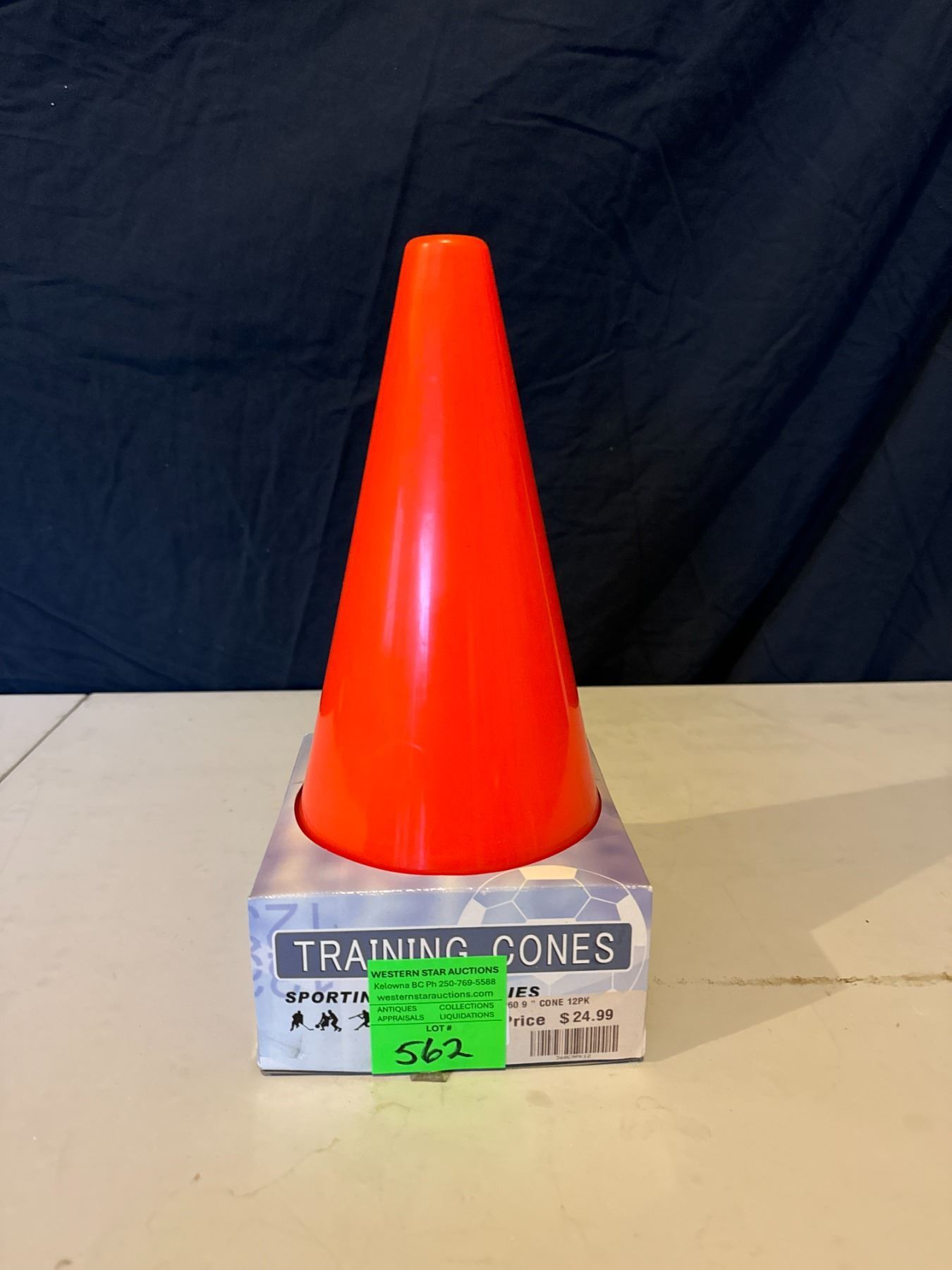 Training Cones 12pk