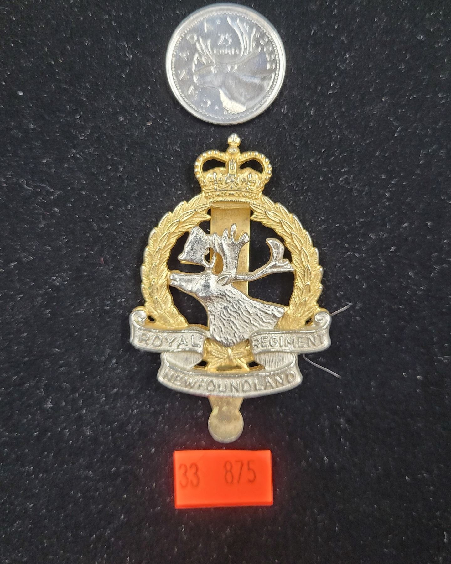 Royal Regiment Of Newfoundland Cap Badge