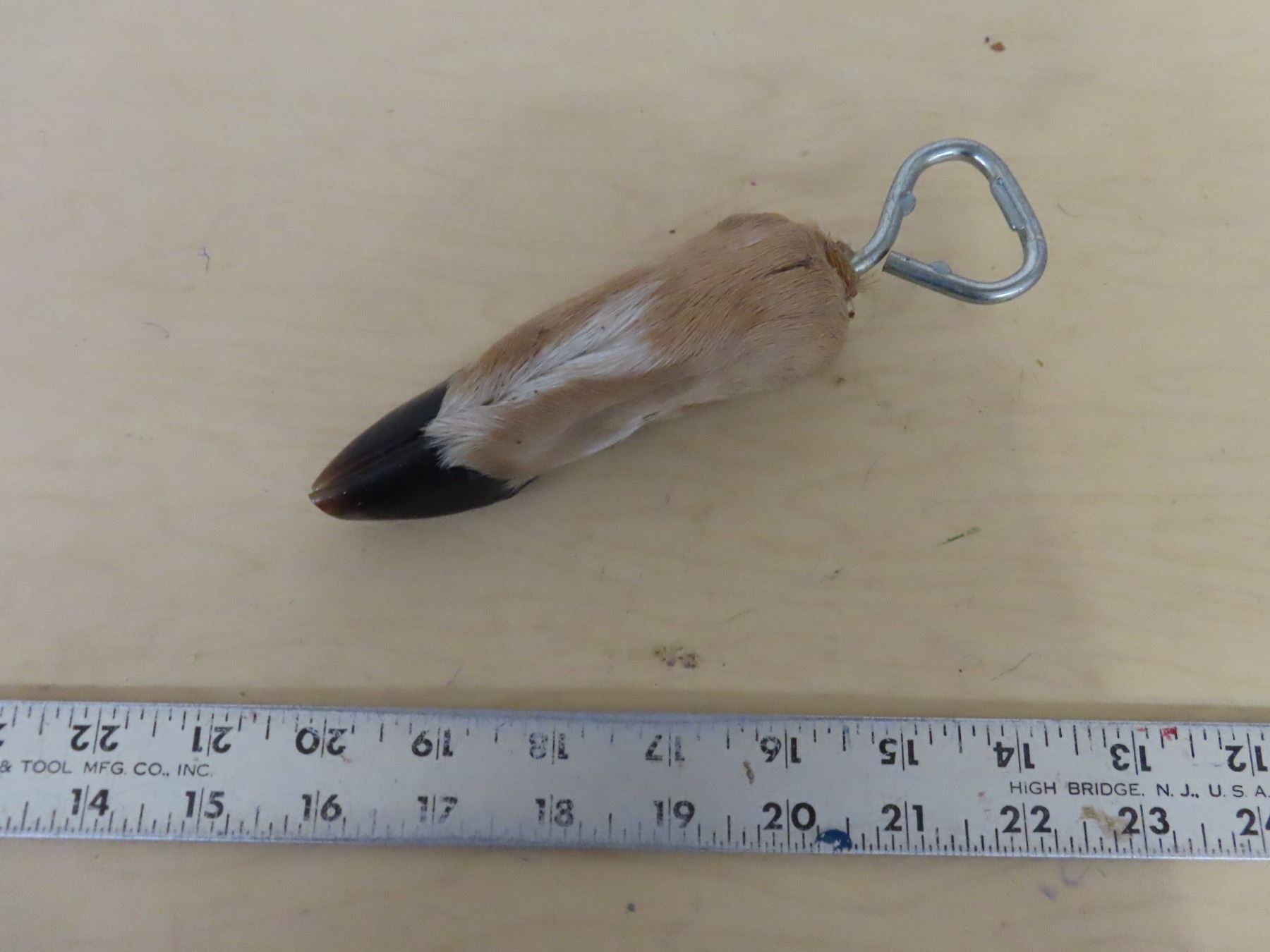 DEER FOOT BOTTLE CAP OPENER - Schmalz Auctions