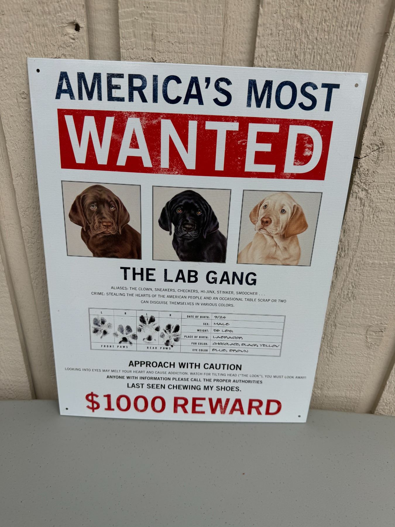 America's most wanted tin sign the lab gang